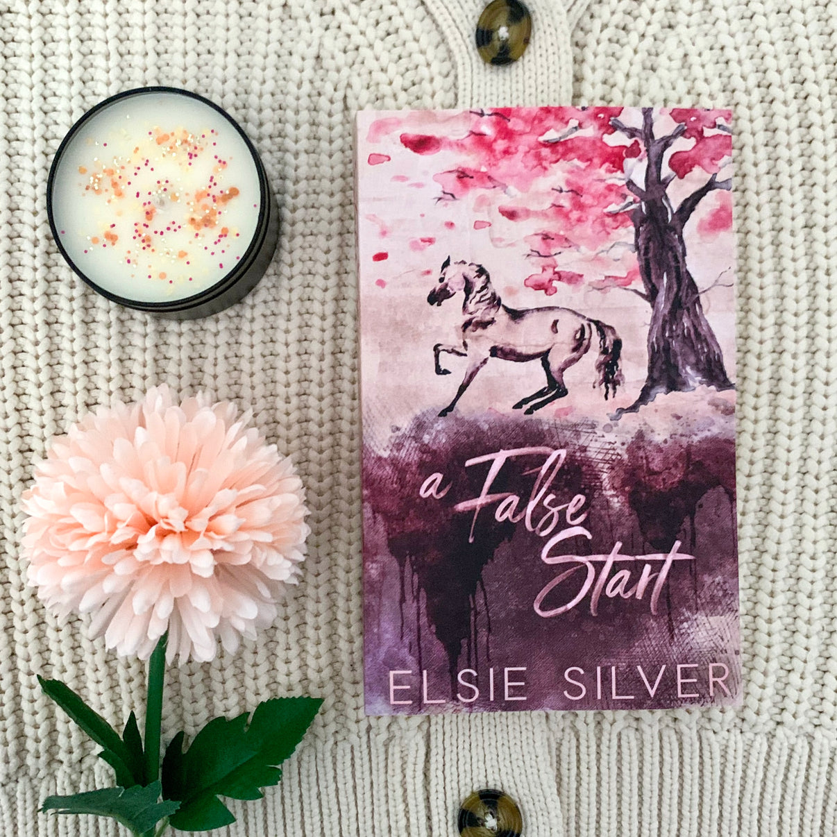 Gold Rush Ranch series by Elsie Silver – Wild Hearts Bookshop