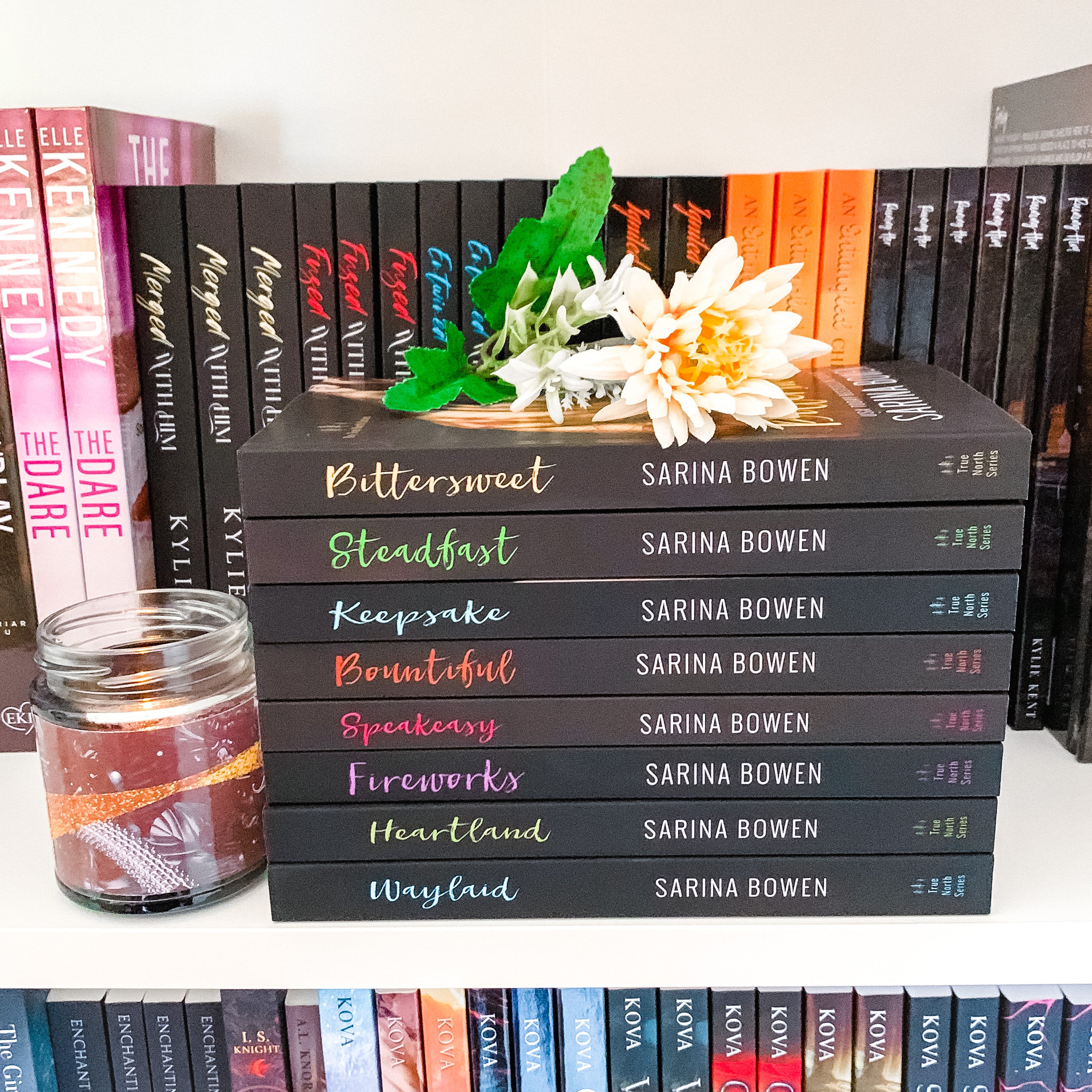 The True North Series by Sarina Bowen – Wild Hearts Bookshop
